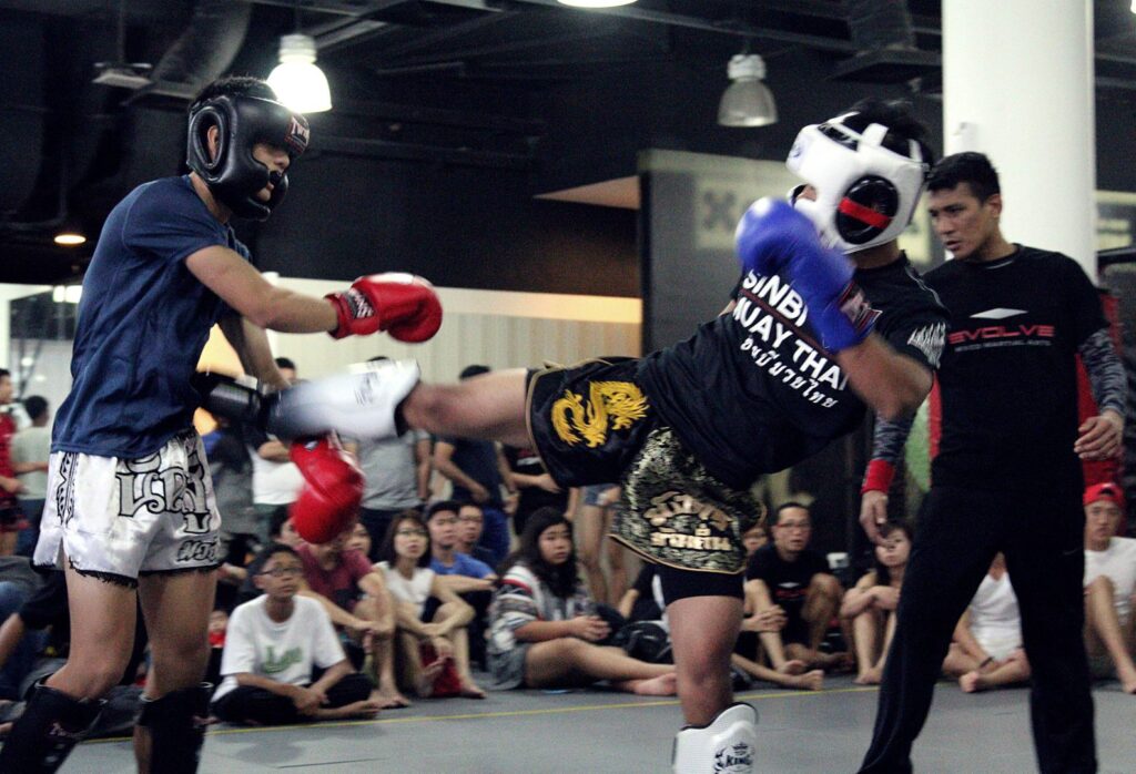 Evolve MMA Competition Team Tryouts : The Results Are In! - Evolve Daily