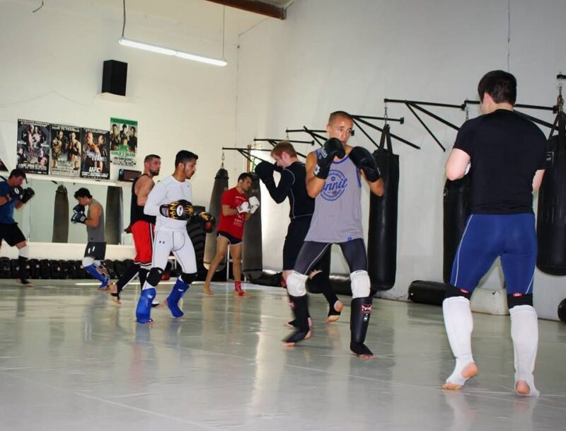 Gyms Around The World: AMC Kickboxing & Pankration | Evolve Daily