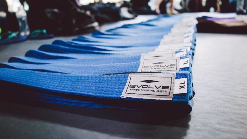 7 Ways To Overcome A Blue Belt Plateau In BJJ | Evolve Daily