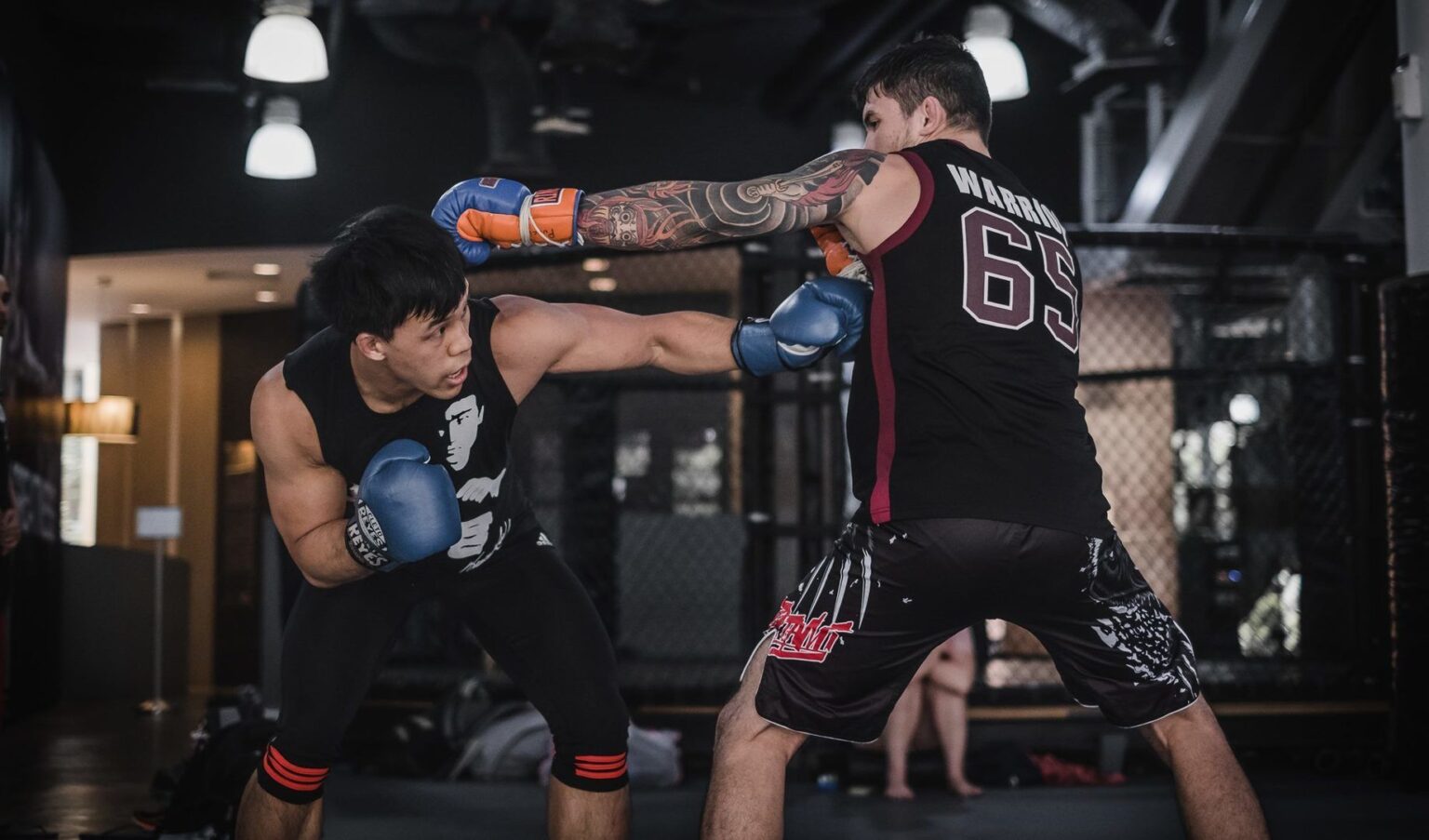 5 Types Of Jabs All Boxers Need To Know (Videos) | Evolve Daily