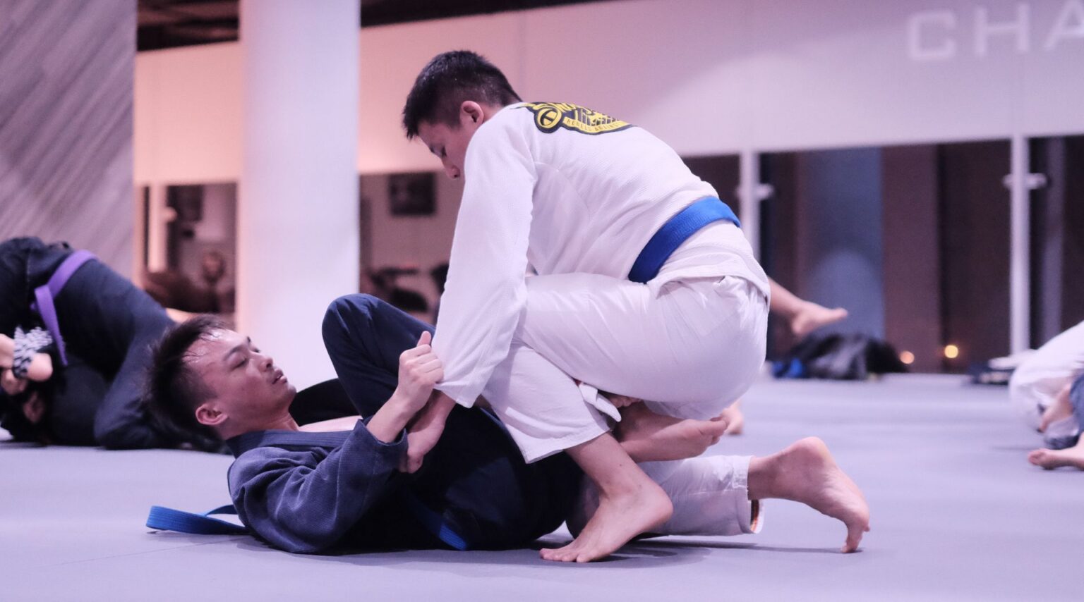 The Art Of Flow: Learning To Relax In Brazilian Jiu-Jitsu | Evolve Daily