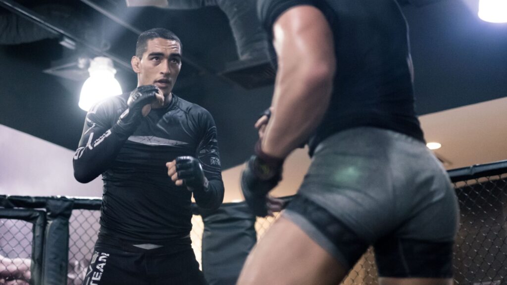 The Most Common Submissions In MMA - Evolve Daily