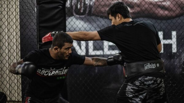 4 Head Movement Techniques For Boxing And How To Train Them | Evolve Daily