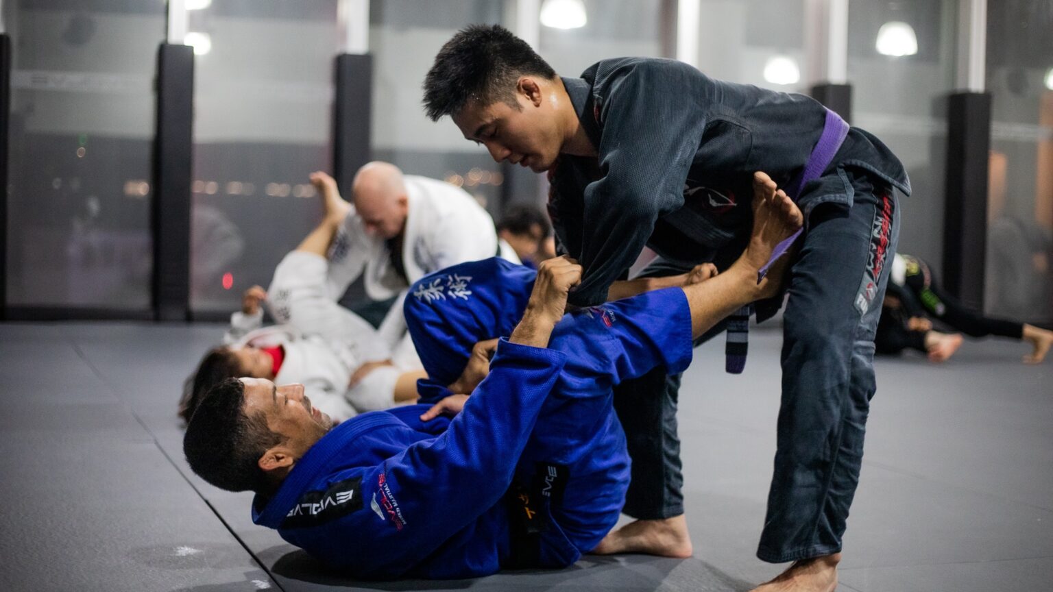 BJJ Mindset Series: Discipline | Evolve Daily