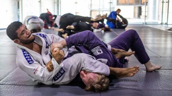 The #1 Brazilian Jiu-Jitsu (BJJ) Blog & Website | Evolve Daily