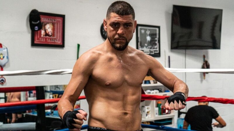 5 Of The Best Boxers In MMA History | Evolve Daily