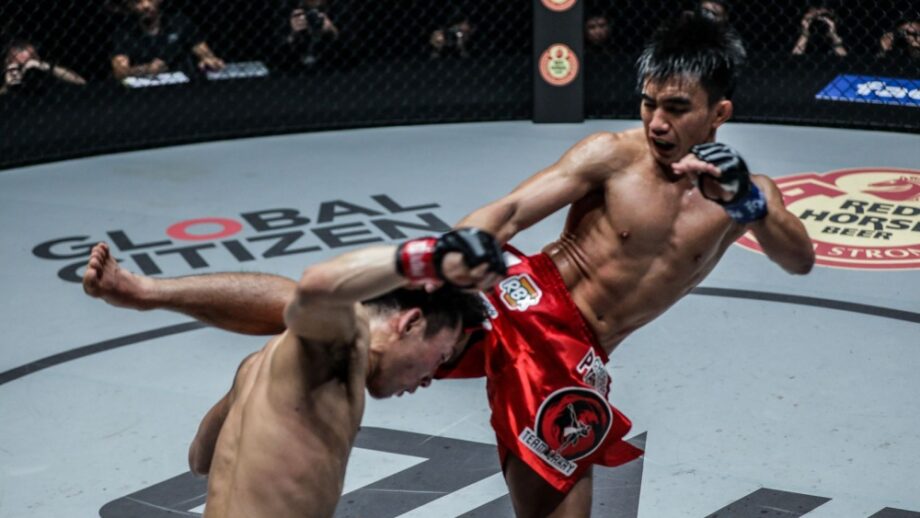 Top 10 Head Kick Knockouts In Mma History Evolve Daily