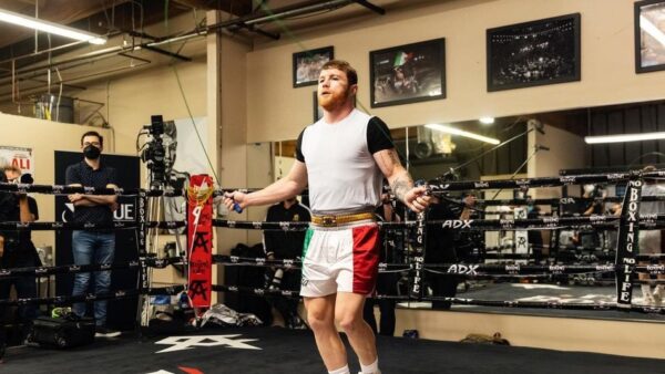 Boxing Guards 101 | Evolve Daily