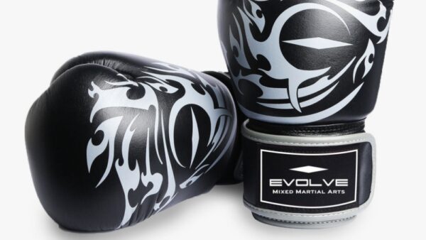 Different Types Of Boxing Gloves: A Guide To Choosing One | Evolve Daily
