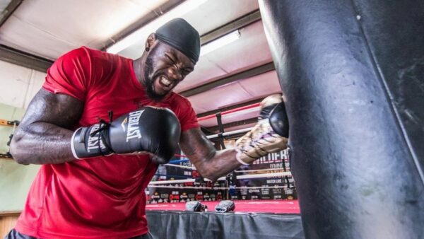 Breaking Down The Slugger Boxing Style | Evolve Daily