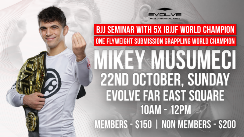 6 Exciting Upcoming Seminars At Evolve MMA! | Evolve Daily