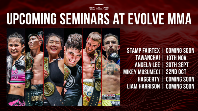 6 Exciting Upcoming Seminars At Evolve MMA! | Evolve Daily