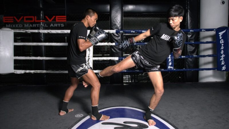5 Effective Low-Kick Combinations In Muay Thai | Evolve Daily