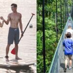 What Is The Flicker Jab In Boxing? | Evolve Daily